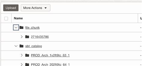 Restore Database From A Rman Backup Taken On The Oci Object Storage To