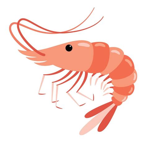Cartoon Drawing Of A Shrimp 13539614 Vector Art At Vecteezy