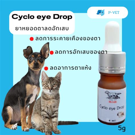 ยาหยอดตาสุนัขและแมว ลดอาการอักเสบของตาสุนัขและแมว ภาวะตาแห้ง เช็ดตาสุนัขแมว แบบเซรั่ม ขนาด 4ml