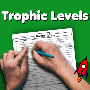 Trophic Levels Home Learning Worksheet By Rocket Sheets TPT