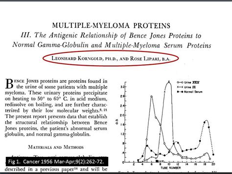 Elevated Kappa And Lambda Light Chains In Urine