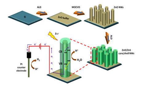 Schematic Illustration Of The Fabrication Process Of Zno Zns Core Shell