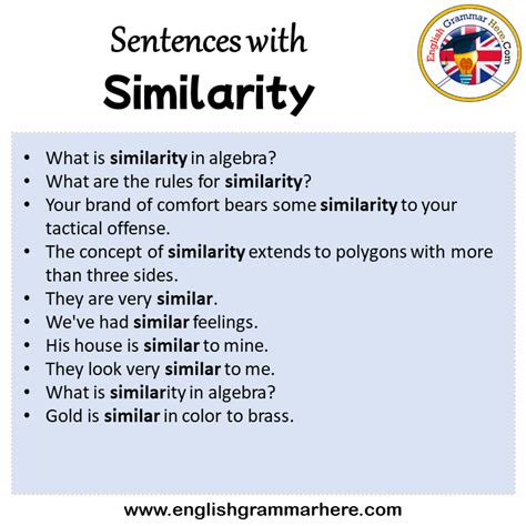 Sentences With Similarity Similarity In A Sentence In English