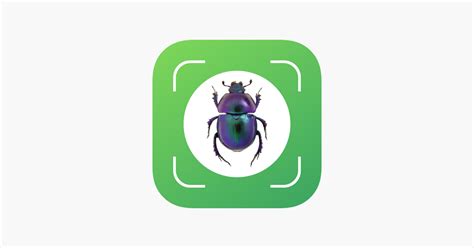 What Bug Is This Identify Bugs On The App Store