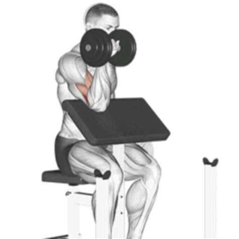 Preacher Curl One Arm By Martel Berry Exercise How To Skimble