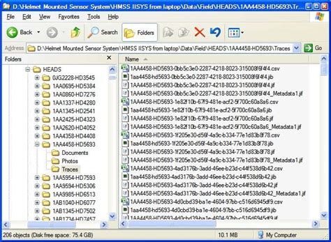 Field Data Directory Structure Download Scientific Diagram