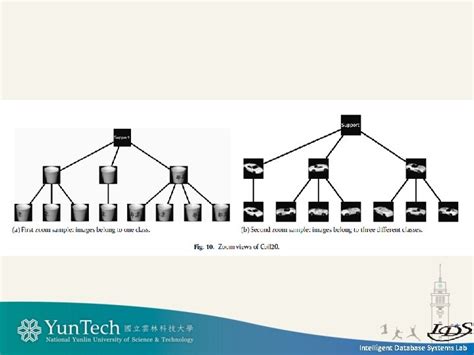 Growing Selforganizing Trees For Autonomous Hierarchical Clustering Presenter