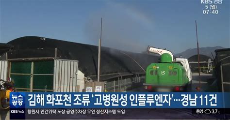 김해 화포천 조류 ‘고병원성 인플루엔자경남 11건