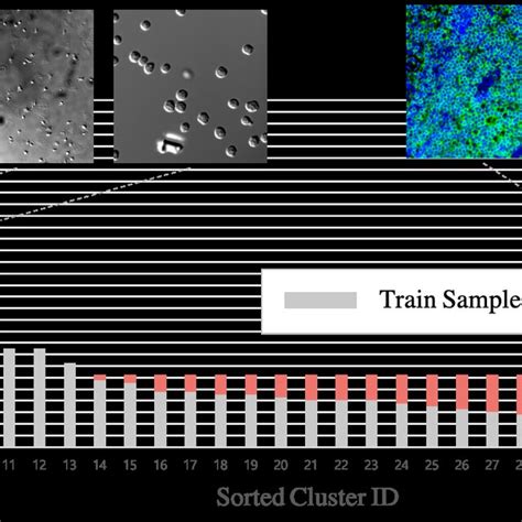 Discovered Modalities And Amplified Samples In The Training Dataset