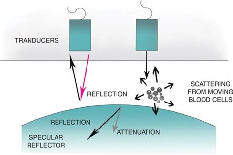 Reflection Refraction And Diffraction Of Sound Waves Tolflab