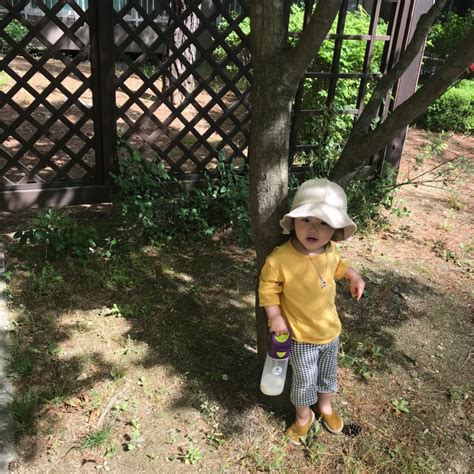 아기 이마 찢어짐 봉합수술 관리 보험청구 네이버 블로그