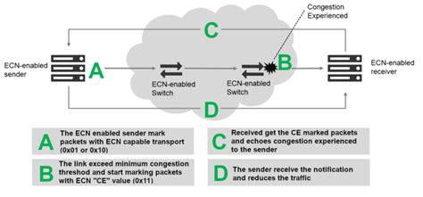 Rdma Over Converged Ethernet Rocev2 On Cisco Nexus 9300