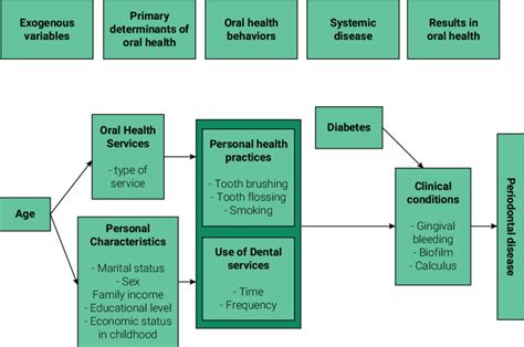 Conceptual Framework For Oral Health Related Qualify Of Life Adapted Download Scientific
