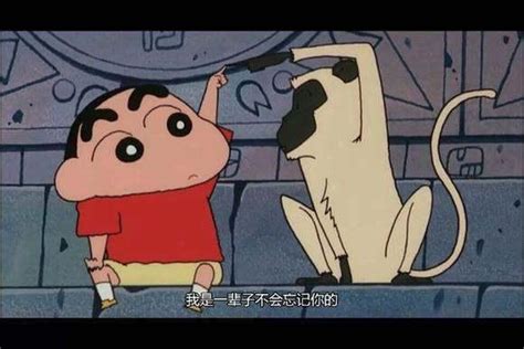 盘点蜡笔小新暖心语录~~今天你治愈了吗？！ 知乎