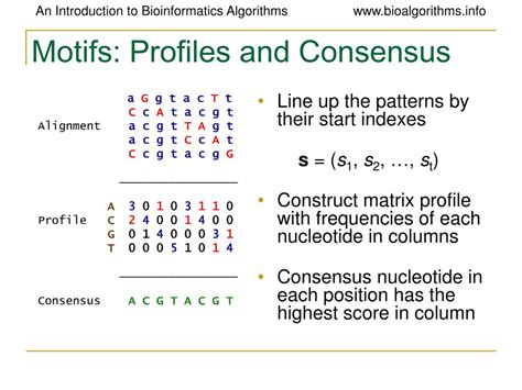 Ppt Motif Finding Powerpoint Presentation Free Download Id4203822