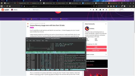 Insane Memory Usage Even With Less Than 10 Tabs Rfirefox