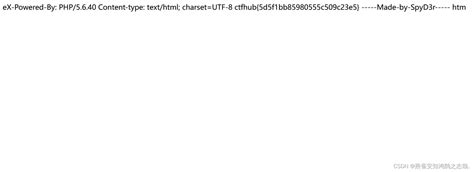 Ctfhub Ssrf Fastcgi协议ctfhub Ssrf Fastcgi协议 Csdn博客