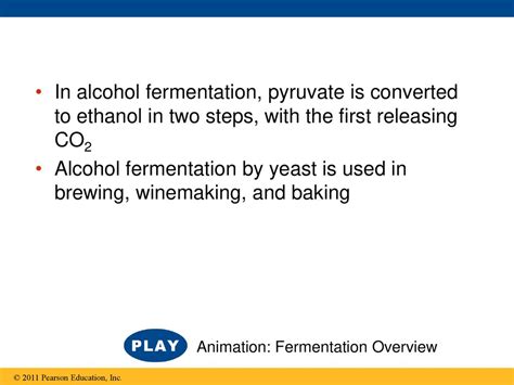 Cellular Respiration And Fermentation Ppt Download