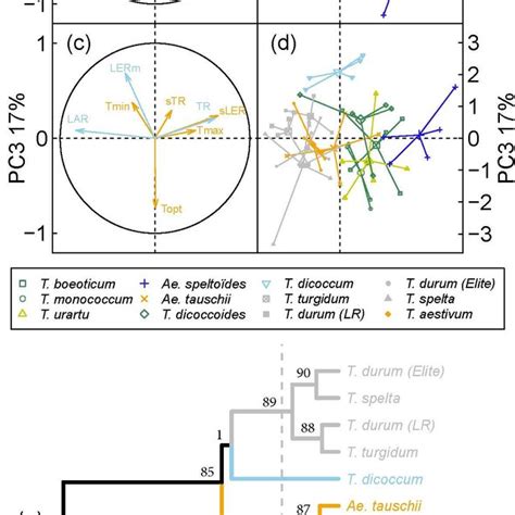 Principal Component Analysis Pca And Hierarchical Clustering On Download Scientific Diagram