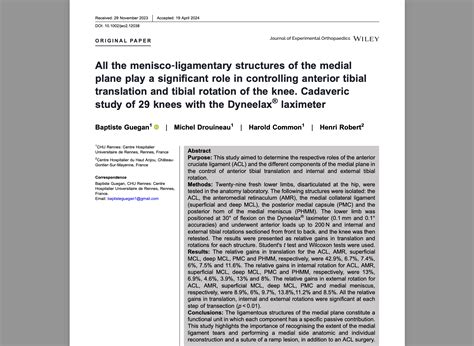 Acl And Medial Plane Structures Knee Stability Insights