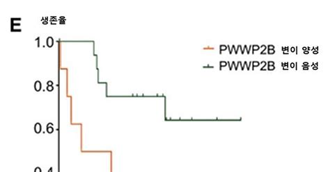국내 연구팀 한국인 위암 발생 높이는 단백질 변이 발견