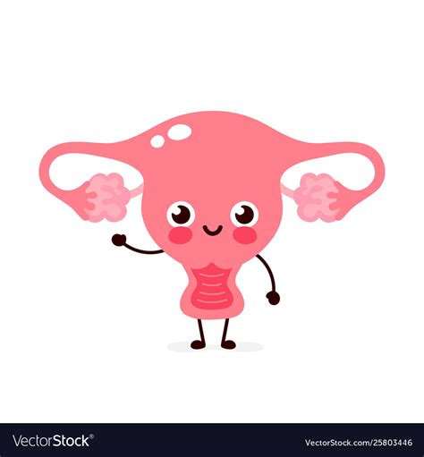 Cute Healthy Happy Human Uterus Royalty Free Vector Image