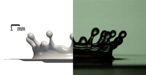 Ercoftac Bpg Of Cfd For Dispersed Multi Phase Flows 2024 With Problem Shooting Session