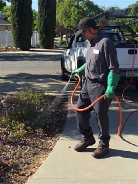 Thrasher Termite And Pest Control Inc Pest Control Services