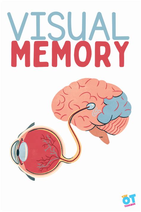 What Causes Poor Visual Memory At Yolanda Jones Blog