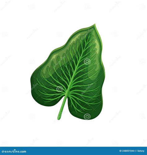 Philodendron Leaf Line Art Doodle Sketch Black Outline On White