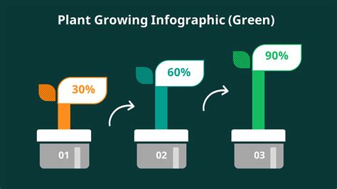 다양한 유형의 차트 Infographic 다이어그램