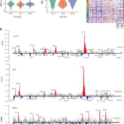Comparisons Of Genomic Features Among The Sarcoma Subtypes In Download Scientific Diagram