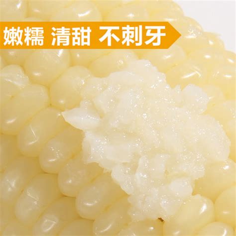 三江海玉米甜糯白玉米整箱40支速冻粘玉米棒1号东北粘软糯苞米虎窝淘