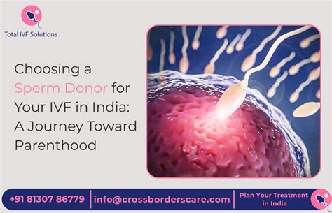 Choosing A Sperm Donor For Your Ivf In India