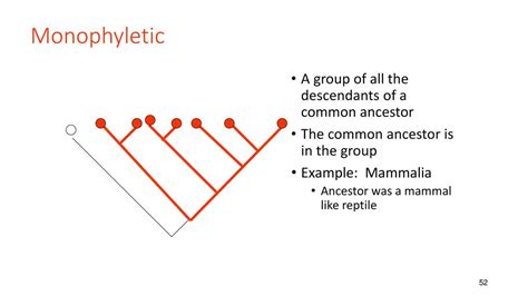 Classifcation And Taxonomy Ppt Download