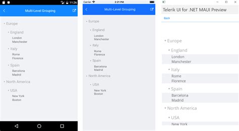 Net Maui Listview Documentation Grouping Telerik Ui For Net Maui