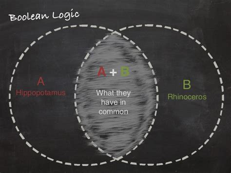 Boolean Searching THE RESEARCH SAFARI