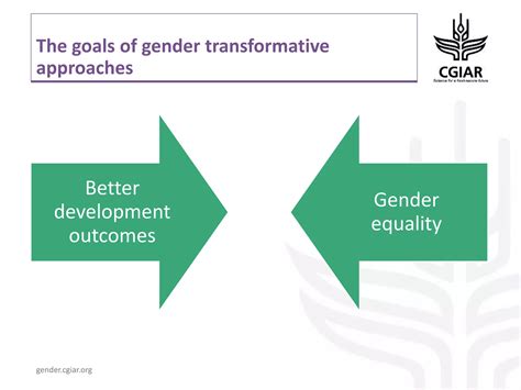Gender Transformative Approaches In Agriculture Pptx