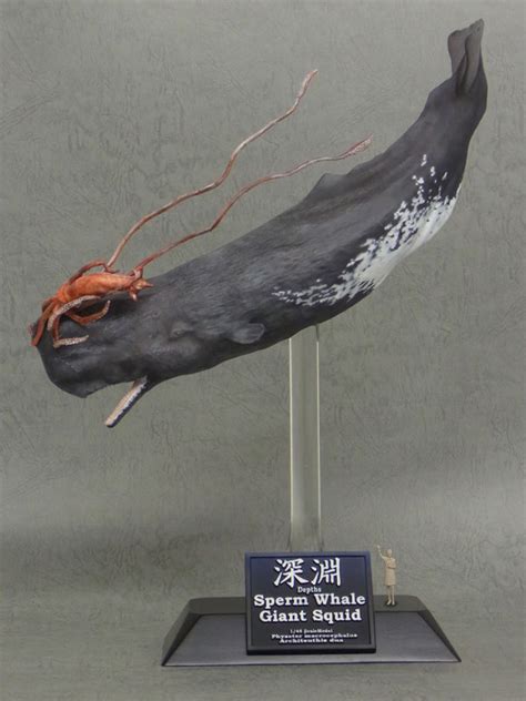 深海の対決 マッコウクジラ対ダイオウイカ 路地裏の散歩者