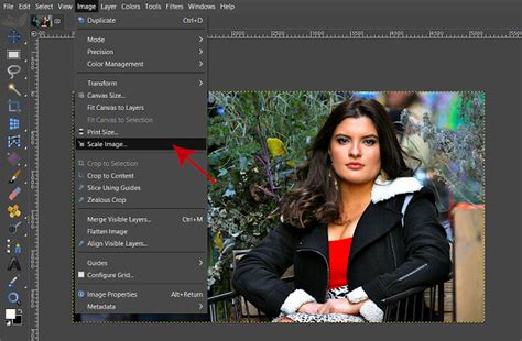Cómo Editar Una Foto En Gimp 10 Pasos St Charles