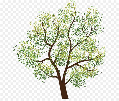 Free Transparent Tree Branch Download Free Transparent Tree Branch Png Images Free ClipArts On