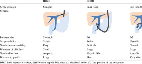 Comparison Of Approach Routes During Eus Rendezvous Technique