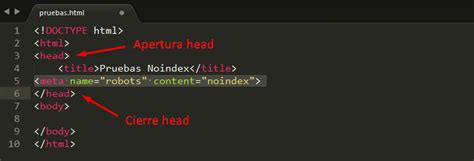 No Index WordPress Qué significa y cómo configurarlo