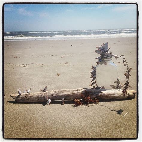 The Hunter And The Gatherer My 10 No 12 Ummm 13 Favorite Shell Finds