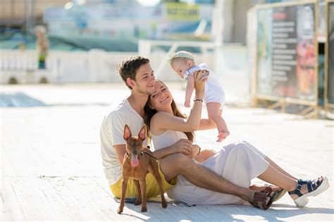 사랑에 젊은 세련 된 소식통 커플 열 대 해변에서 강아지 강아지 하얀 모래 시원한 복장 낭만적 인 분위기 즐거운 시간 화창한 남자 여자 함께 수평 휴가 개에 대한 스톡 사진