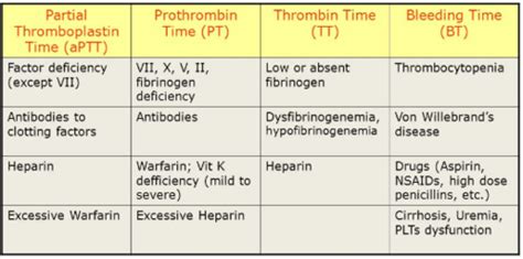 Prolog Ob Flashcards Quizlet