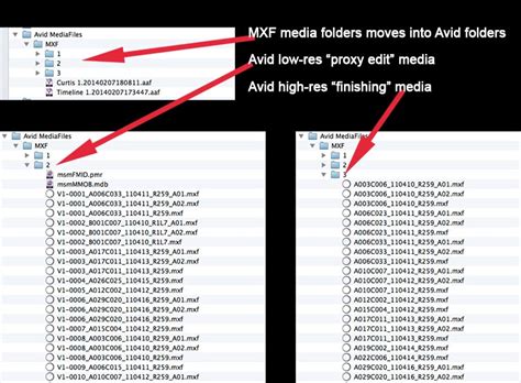 What Is The Davinci Resolve Effects Program Xaserspice