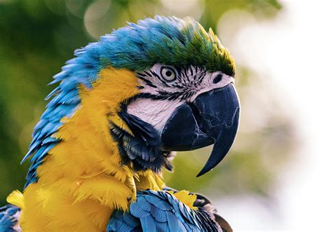 Flexible Bootstrap Carousel Plugin Examples