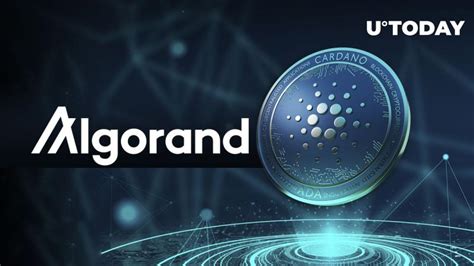 Mirai Blockchain Group On Linkedin Cardano Layer 2 Protocol Announces Concerning News For