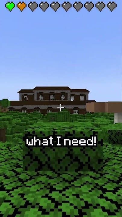 Minecraft But The Hearts Are Randomized Youtube